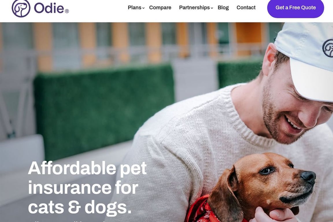 Odie Pet Insurance Affiliate Program: Everything You Need to Know (2025)