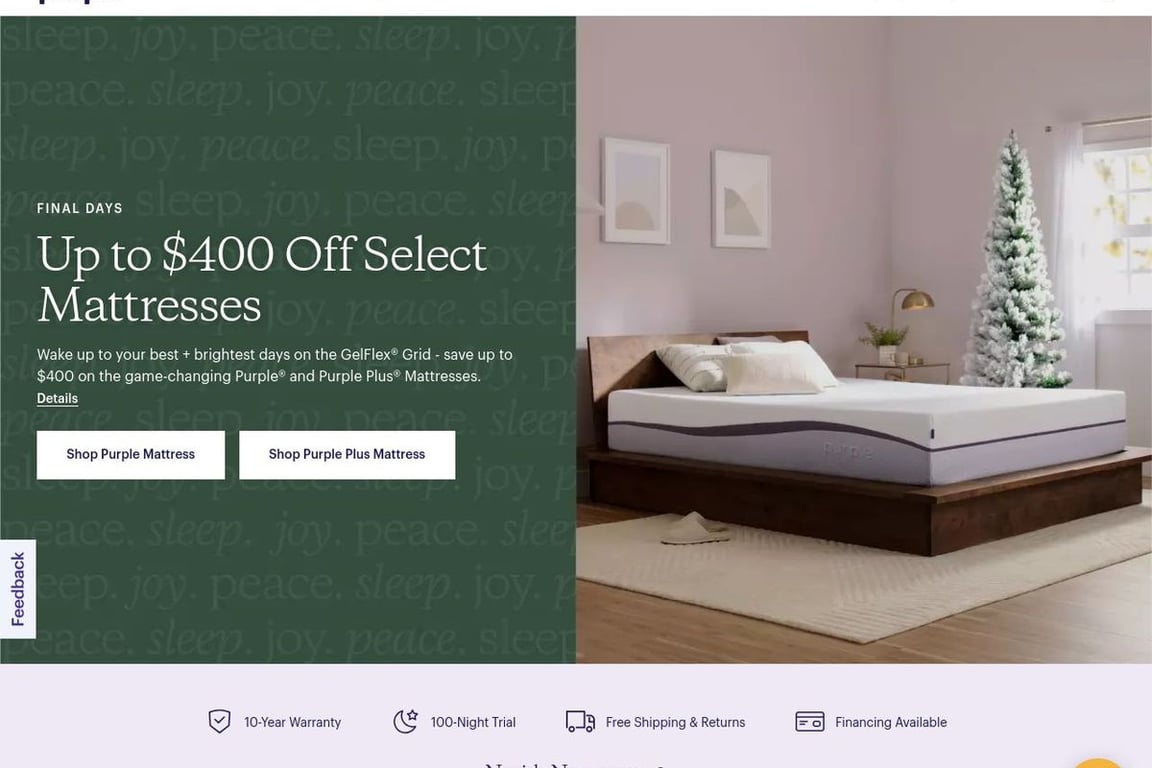 INTELLIbed Affiliate Program: Everything You Need to Know (2024)