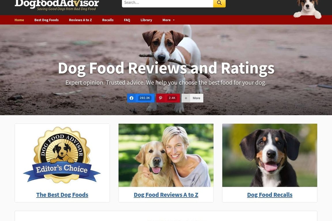 How To Start A Dog Blog And Fetch A Loyal Following Lasso