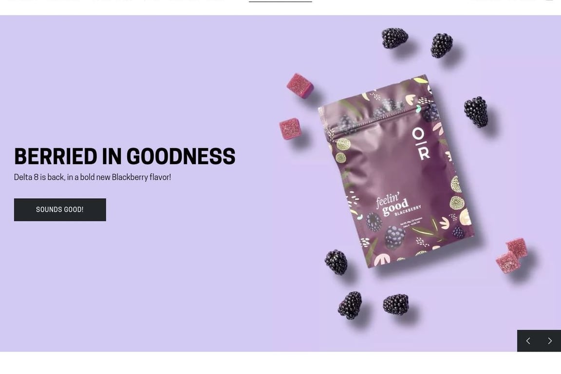 Onyx + Rose Affiliate Program: Everything You Need to Know (2025)