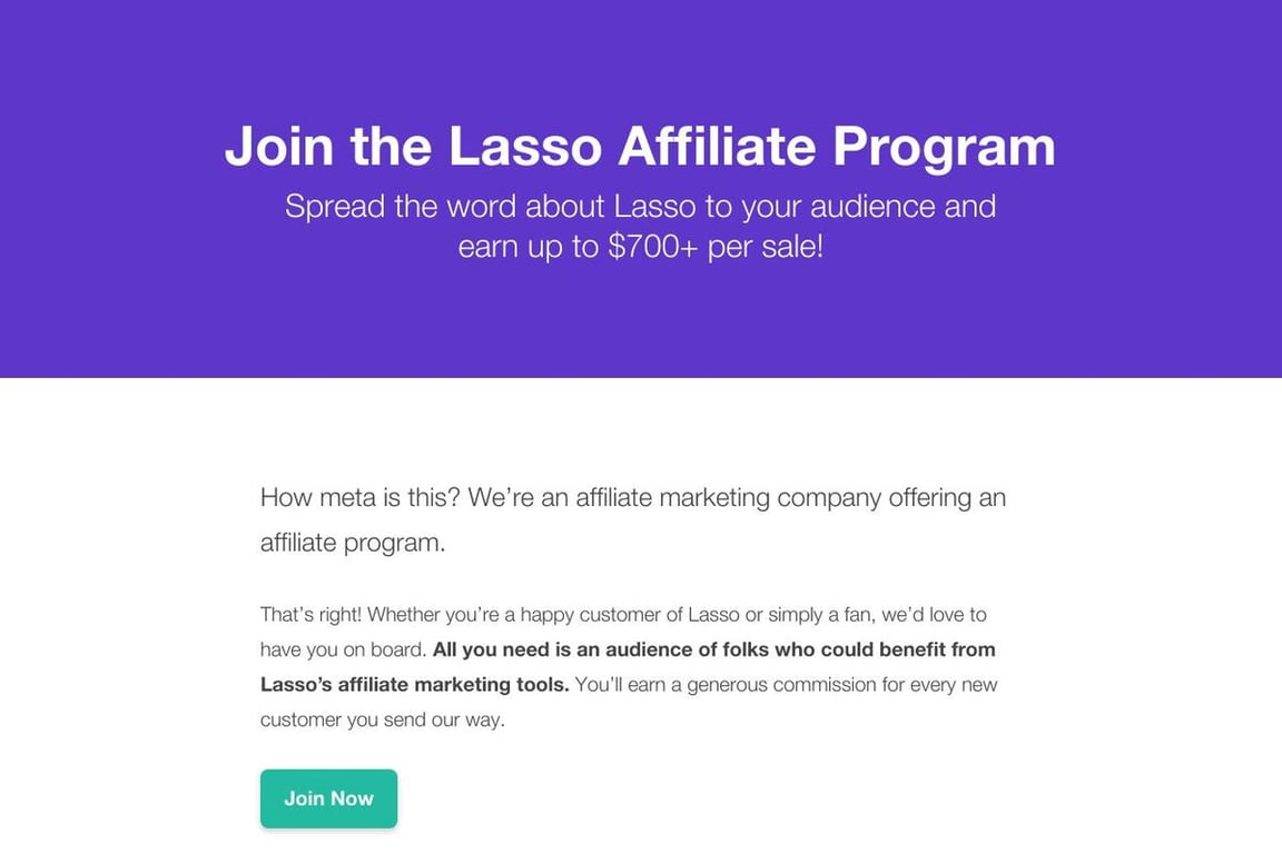 Lasso Affiliate Program: Everything You Need to Know (2025)