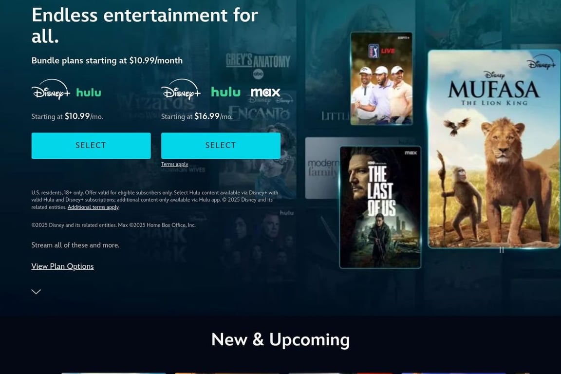 Disney+ Affiliate Program: Commission & Program Details (2025)