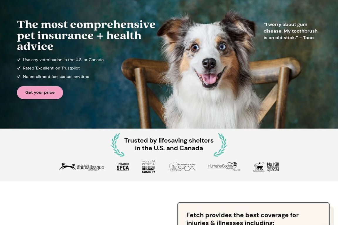 Petplan Affiliate Program: Everything You Need to Know (2025)